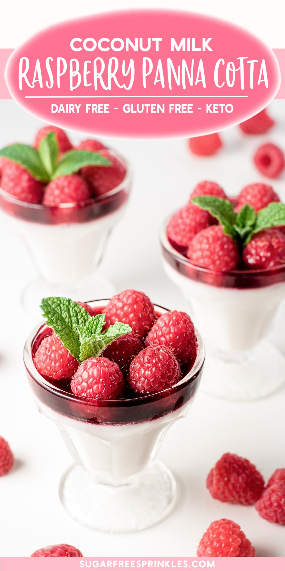 Easy Raspberry Panna Cotta ( Low Carb & Dairy Free)
