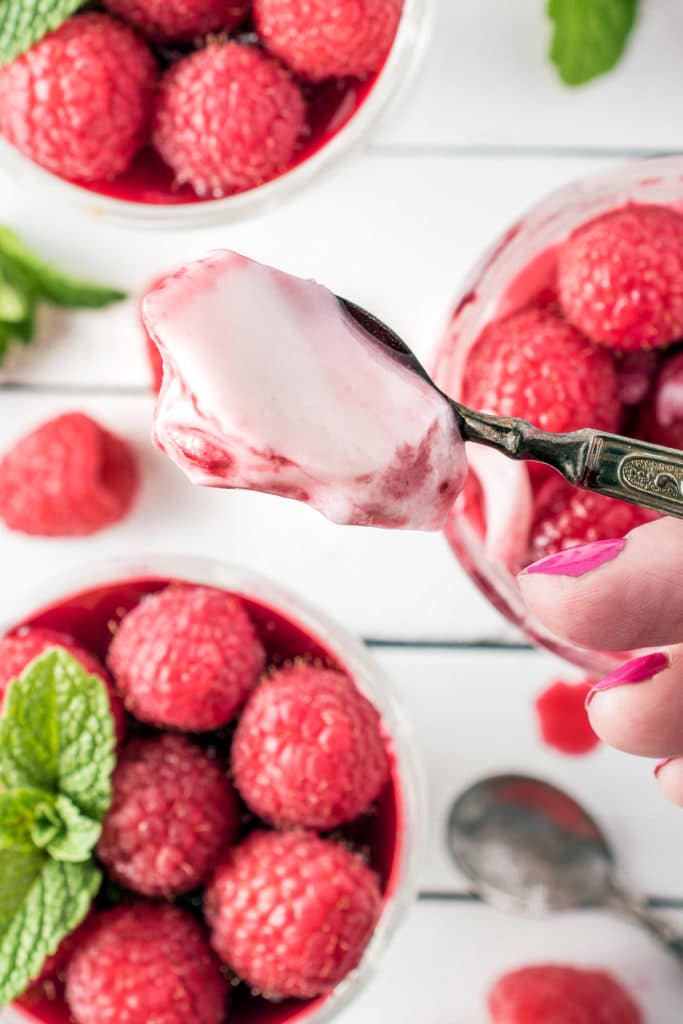 Easy Raspberry Panna Cotta ( Low Carb & Dairy Free)