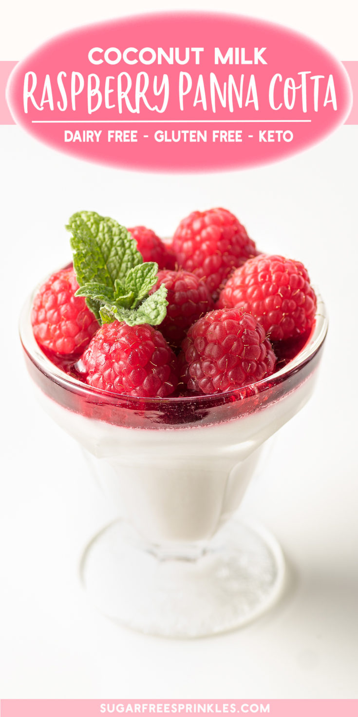 Easy Raspberry Panna Cotta ( Low Carb & Dairy Free)